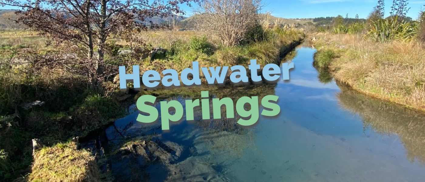 Headwater Springs – Ōpāwaho Heathcote River Network