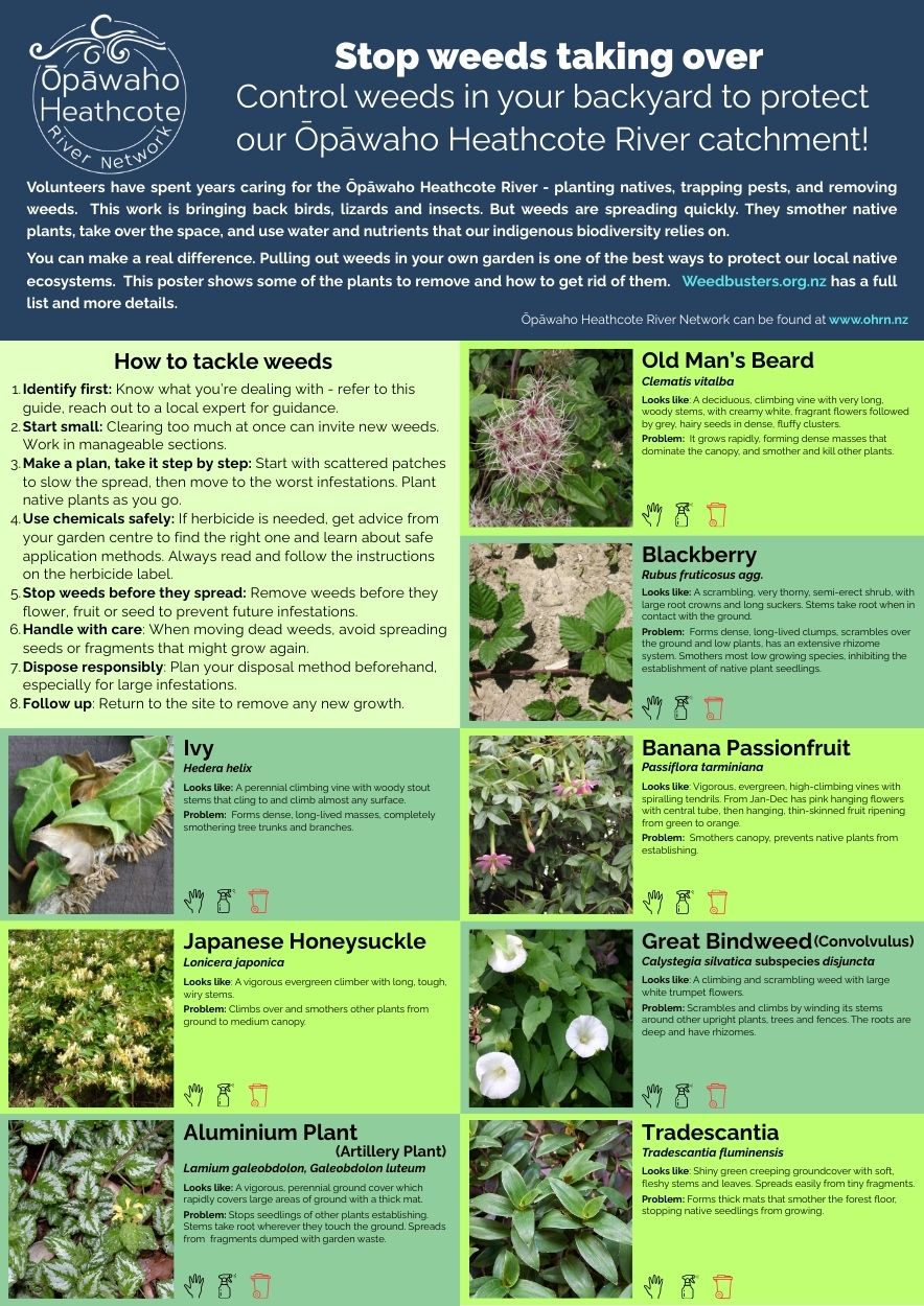 Weed Posters – Ōpāwaho Heathcote River Network